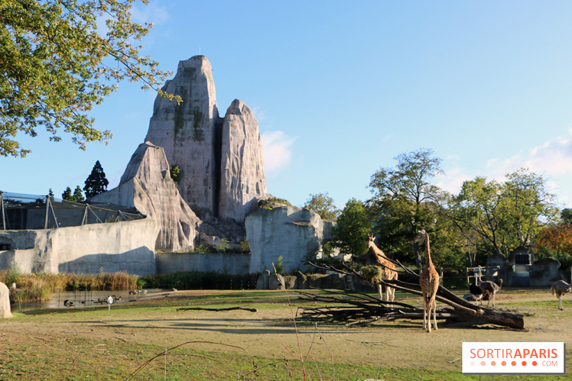Le Parc Zoologique de Paris fête ses 5 ans en 2019 - Sortiraparis.com