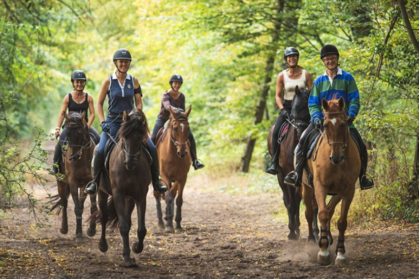 Saint-Valentin 2017 : une balade à cheval dans la forêt de Saint ...