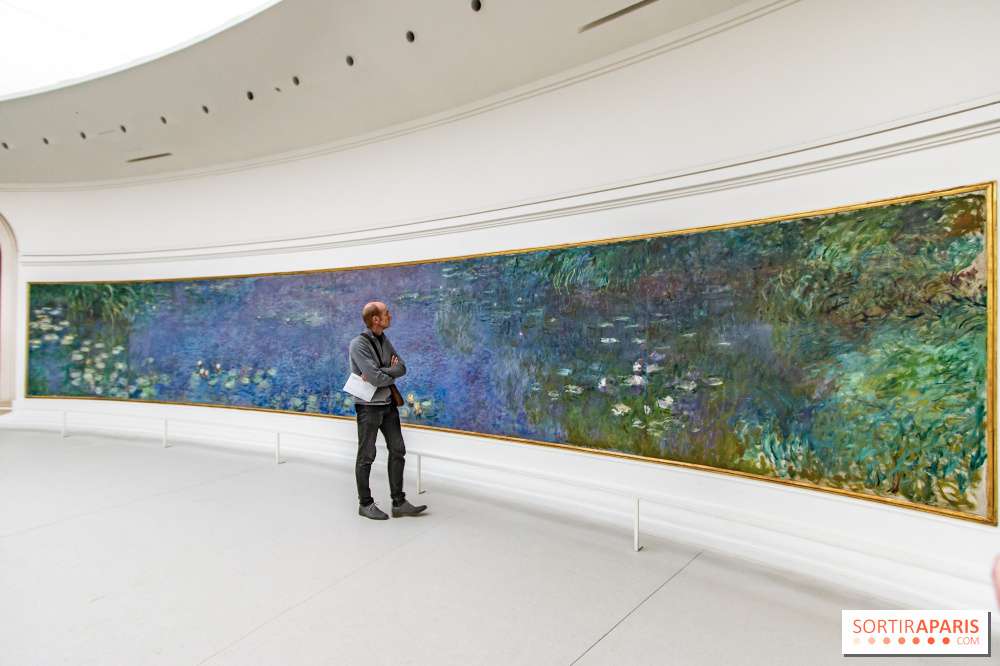 The Water Lilies, American Abstract Painting and the last Monet at the ...
