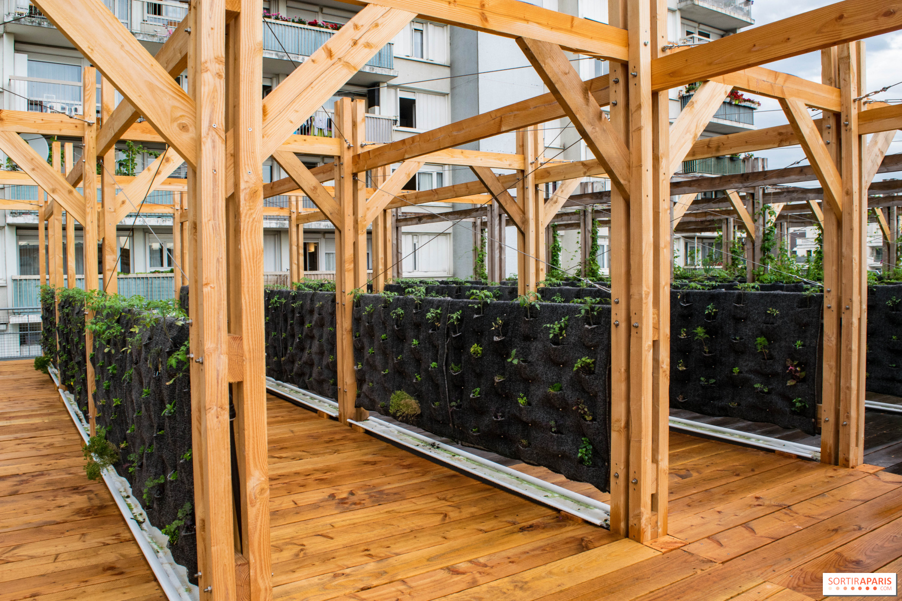 Album Photos Extension du potager urbain du toit de So Ouest