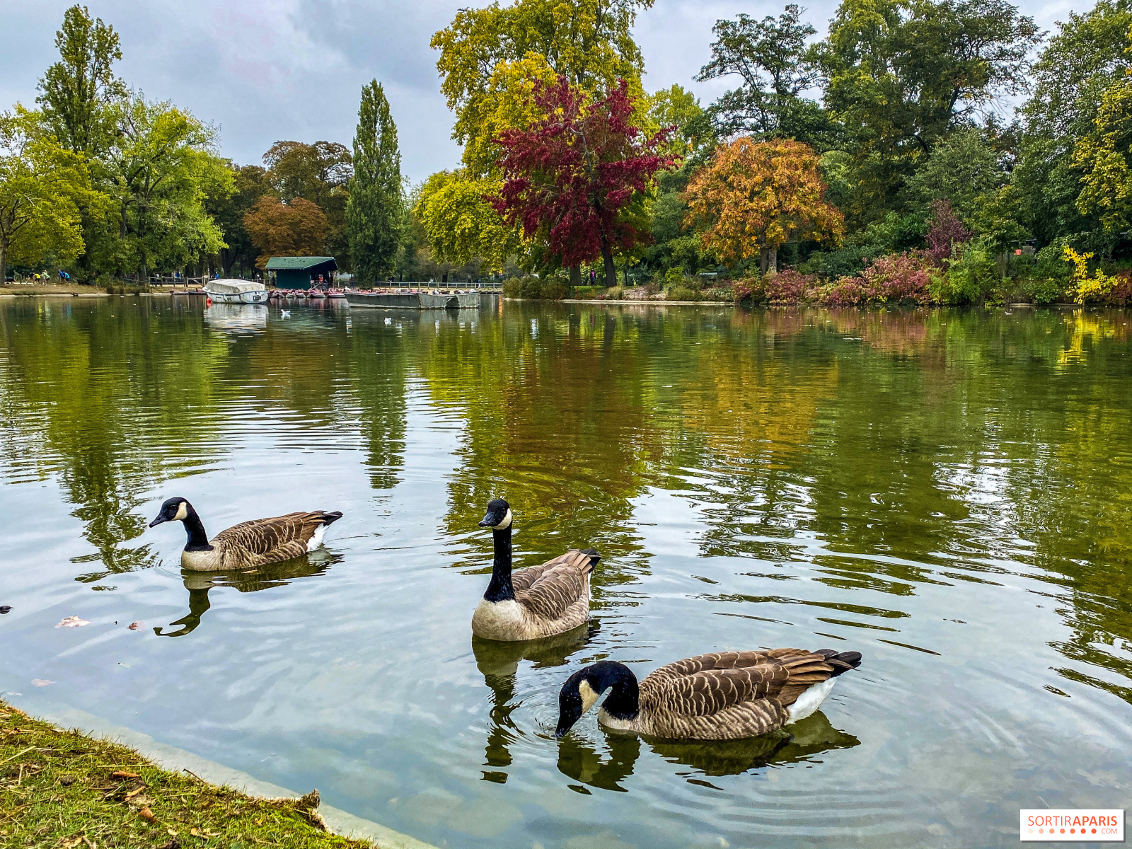 Album Photos Visuel Paris, Lac Daumesnil bois de Vincennes