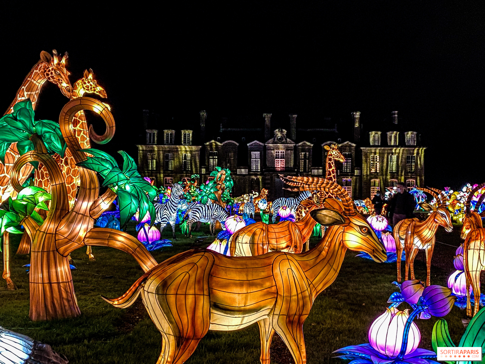 Album Photos Photos : Thoiry Lumières Sauvages 2020-2021