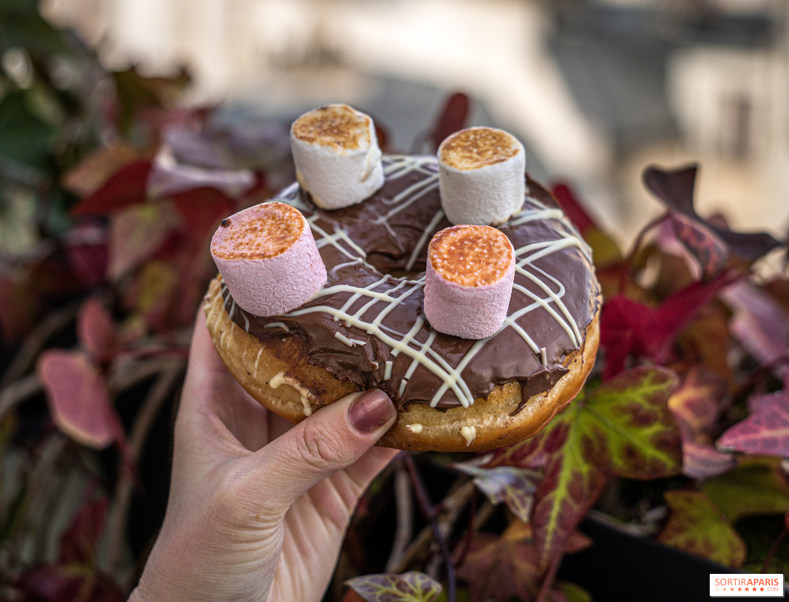 The French Donuts, spécialiste du beignet à Paris - Sortiraparis.com