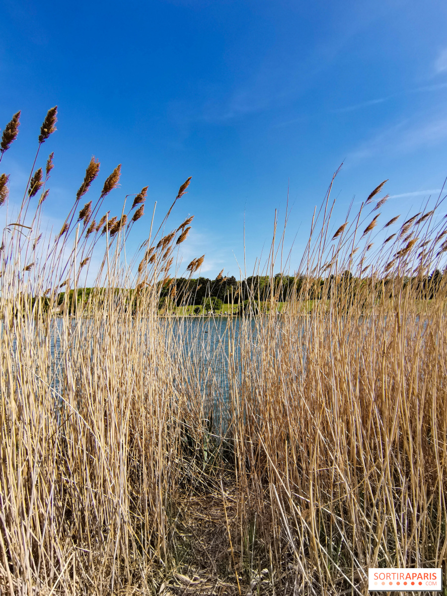 Album Photos Parc départemental Georges-Valbon